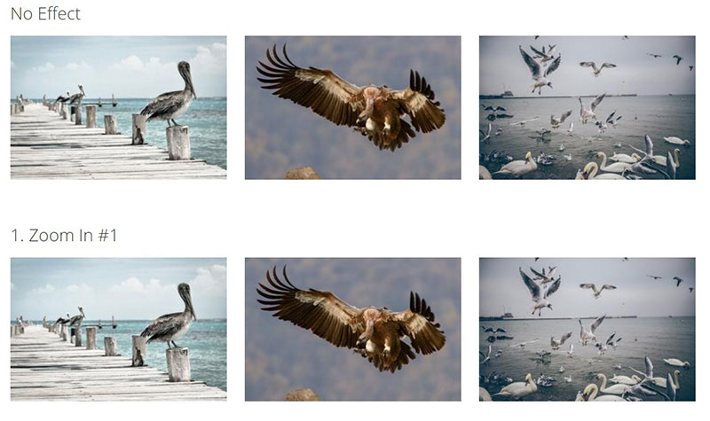 Awesome CSS Image Hover Effects That You Can Use On Your Website