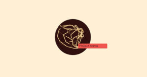 CSS Image Hover Effects Guide & 37+ Examples + Code You Can Use