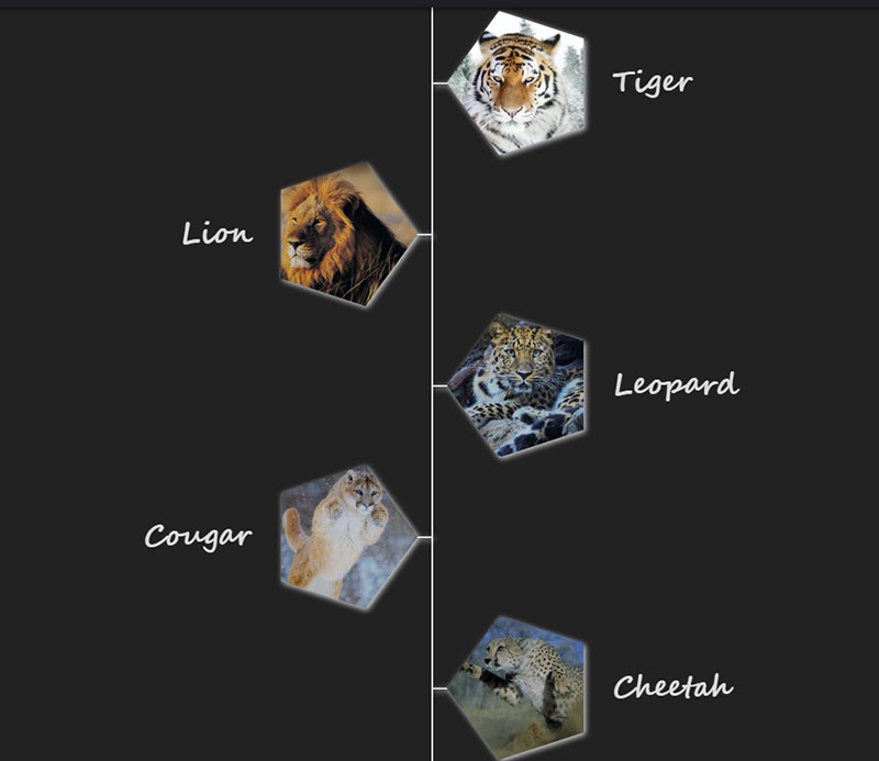 Simple Css Image Hover Effects Effectlader