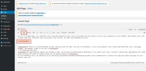 How to Embed a PDF in WordPress With and Without a Plugin