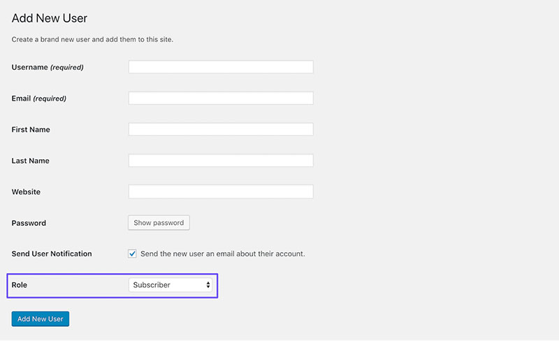 How To Hide The Author In WordPress In A Few Steps