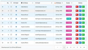 The 19 Best JavaScript Data Table Libraries