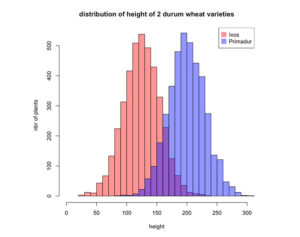 Creative Histogram Examples for Data Visualization